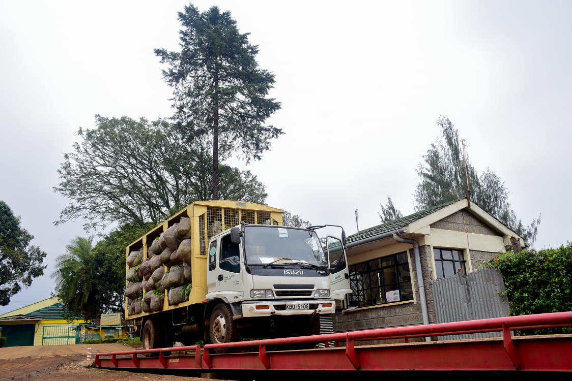 Kenya Tea Development Agency brews perfect technology mix ...