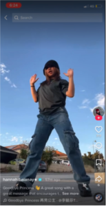 “Goodbye Princess” makes waves across the internet with almost 42 ...