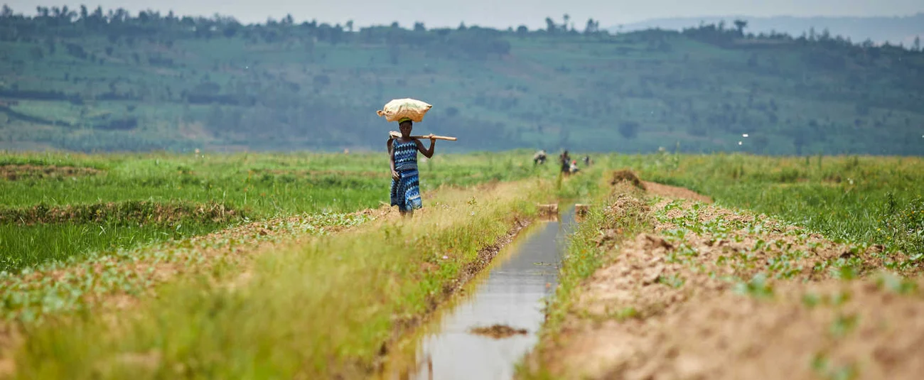 Congo: African Development Bank’s 2023-2028 Country Strategy Paper sets ...