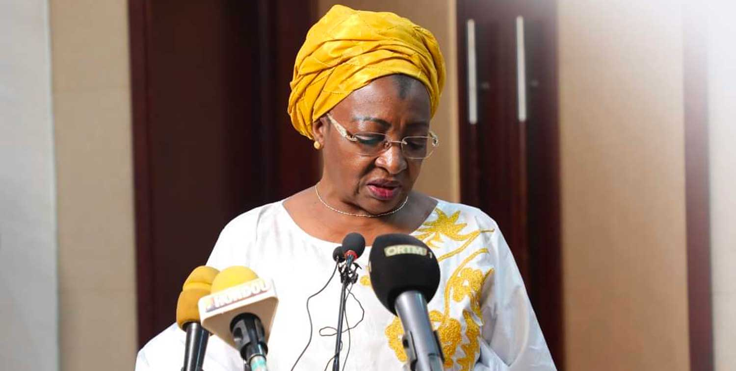Mali: Partners and key players commit to developing renewables sector ...