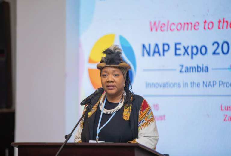 UN Climate Adaptation Expo in Zambia concludes with urgent call for ...